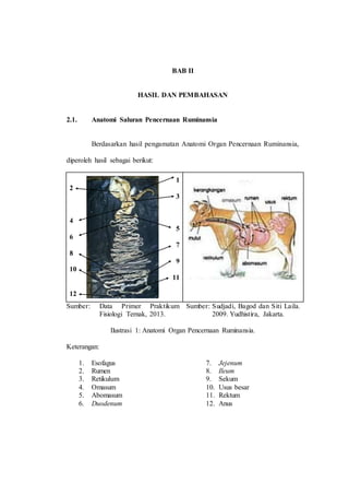 Laporan Praktikum Matakuliah Fisiologi Ternak Semester 2 Tahun 2013 | DOCX