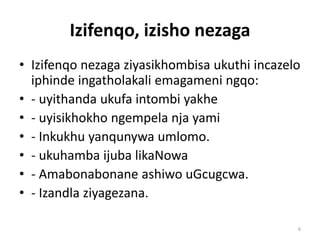 Isifundo sezincazelo | PPTX