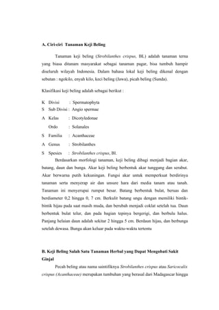 Isi keji beling | RTF