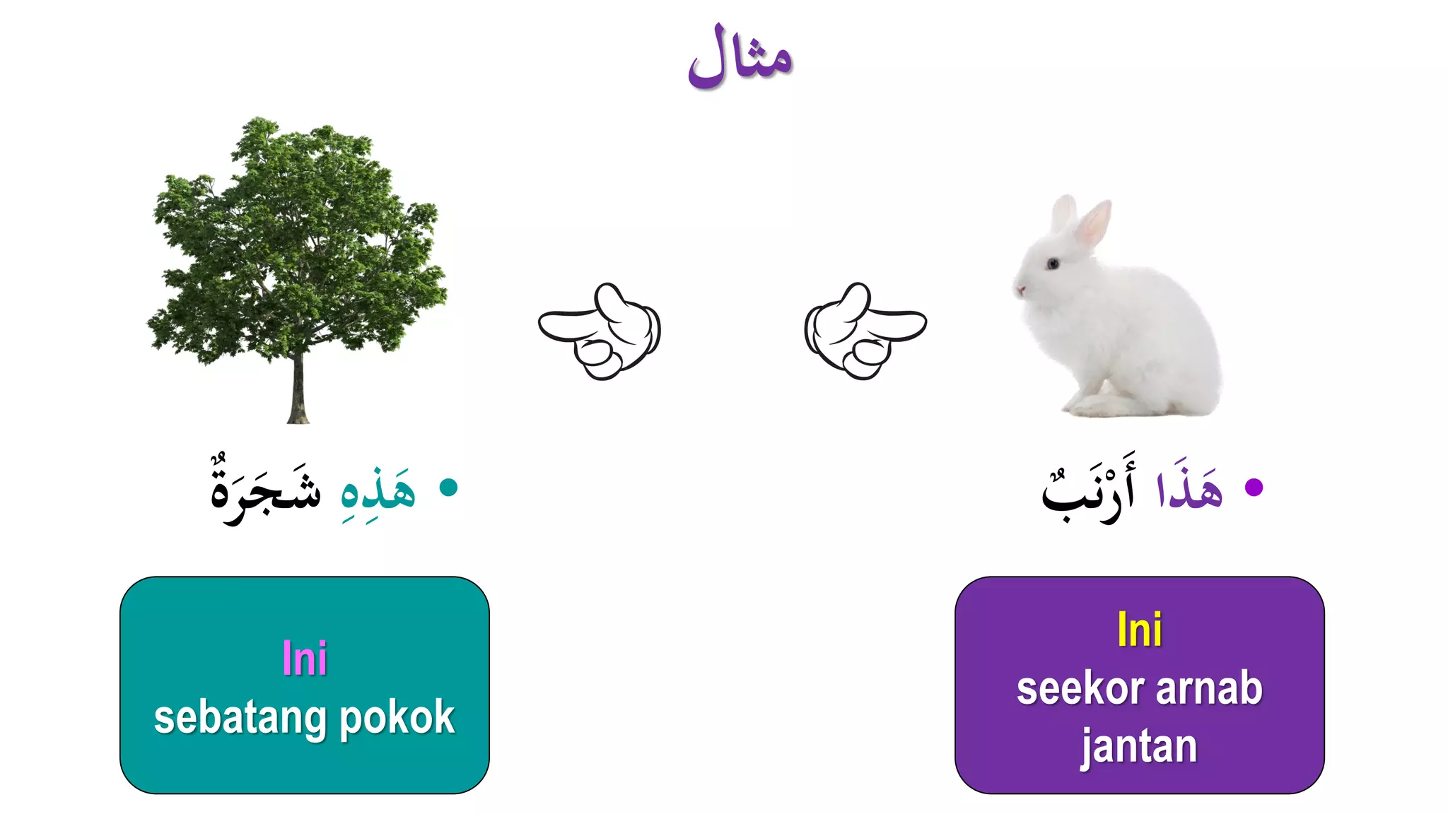 Isim Isyarah | PDF