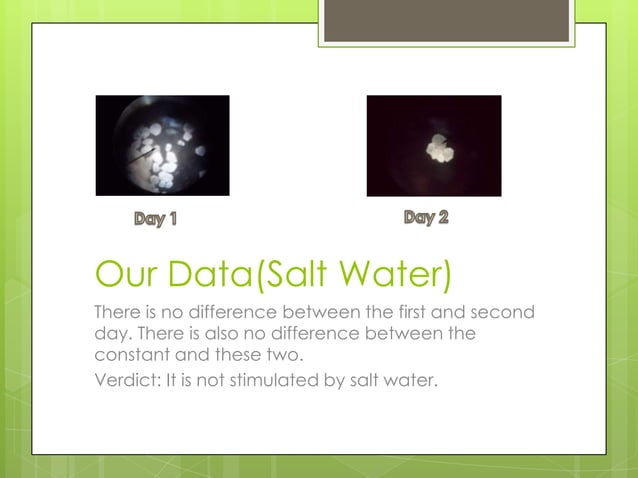 Is it alive powerpoint | PPT