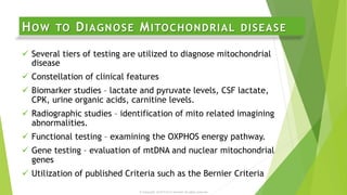 "Is it Really Mito" | PDF