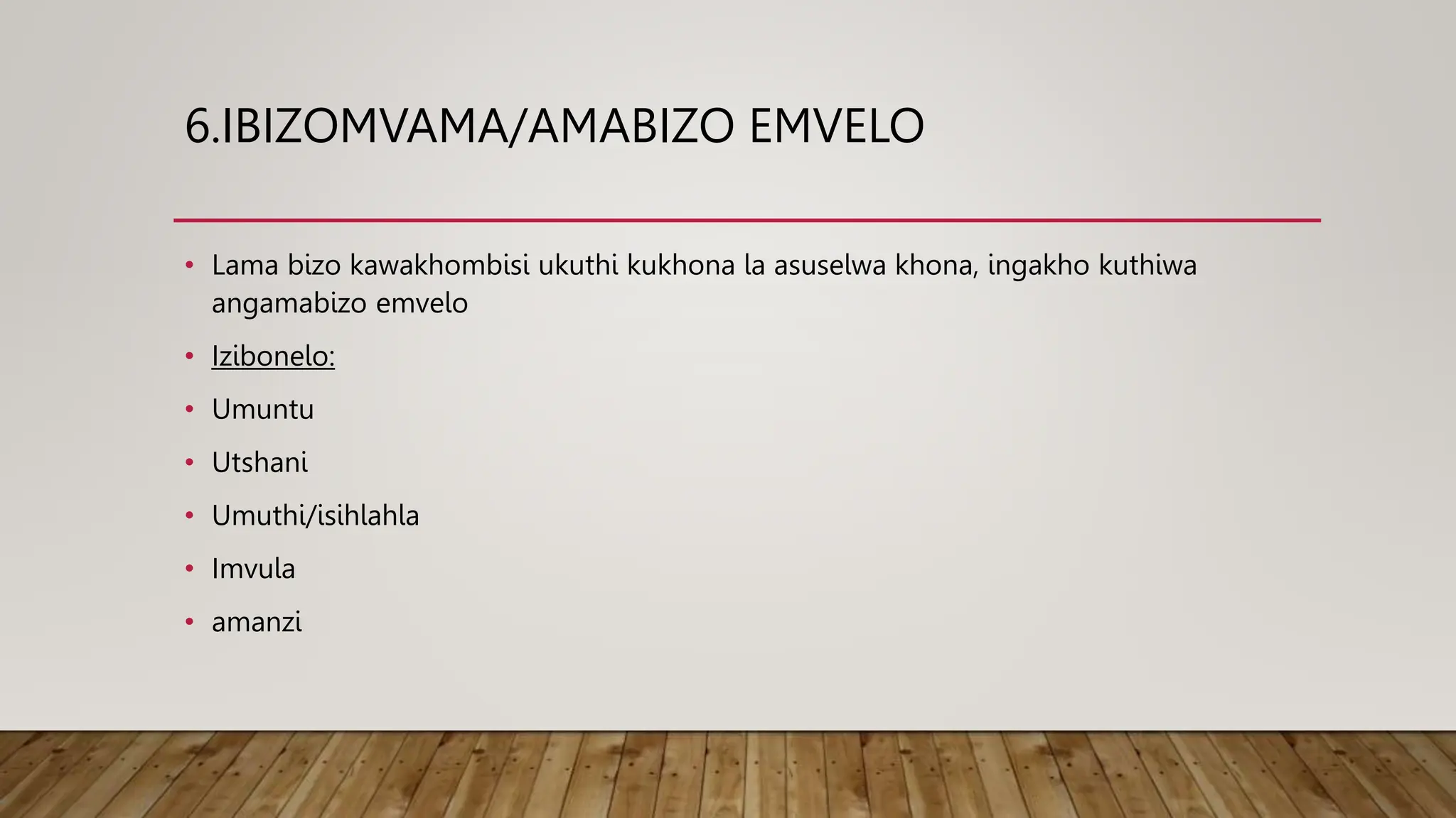 Isizulu izinhlobo zamabizo.pptx