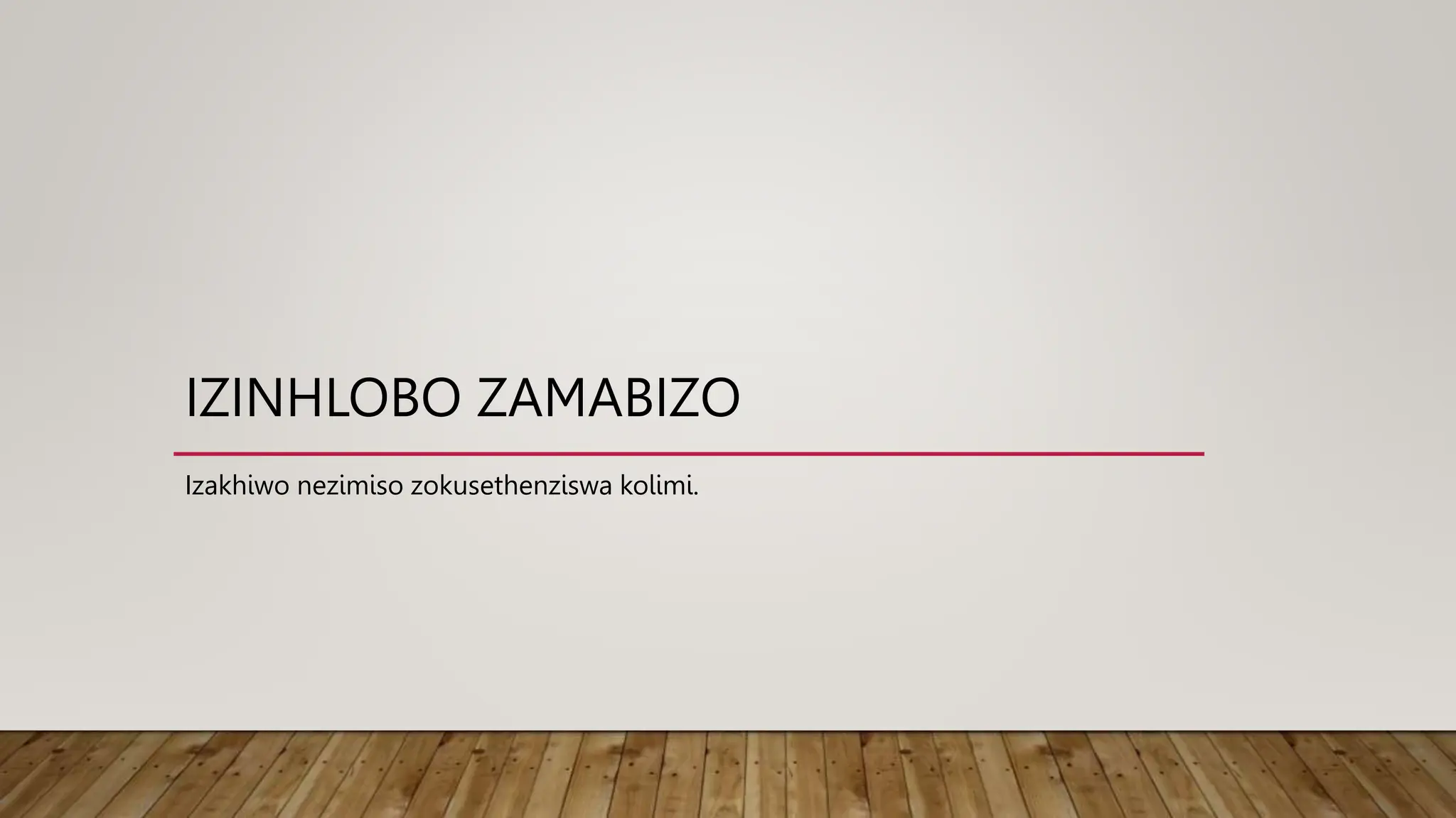 Isizulu izinhlobo zamabizo.pptx