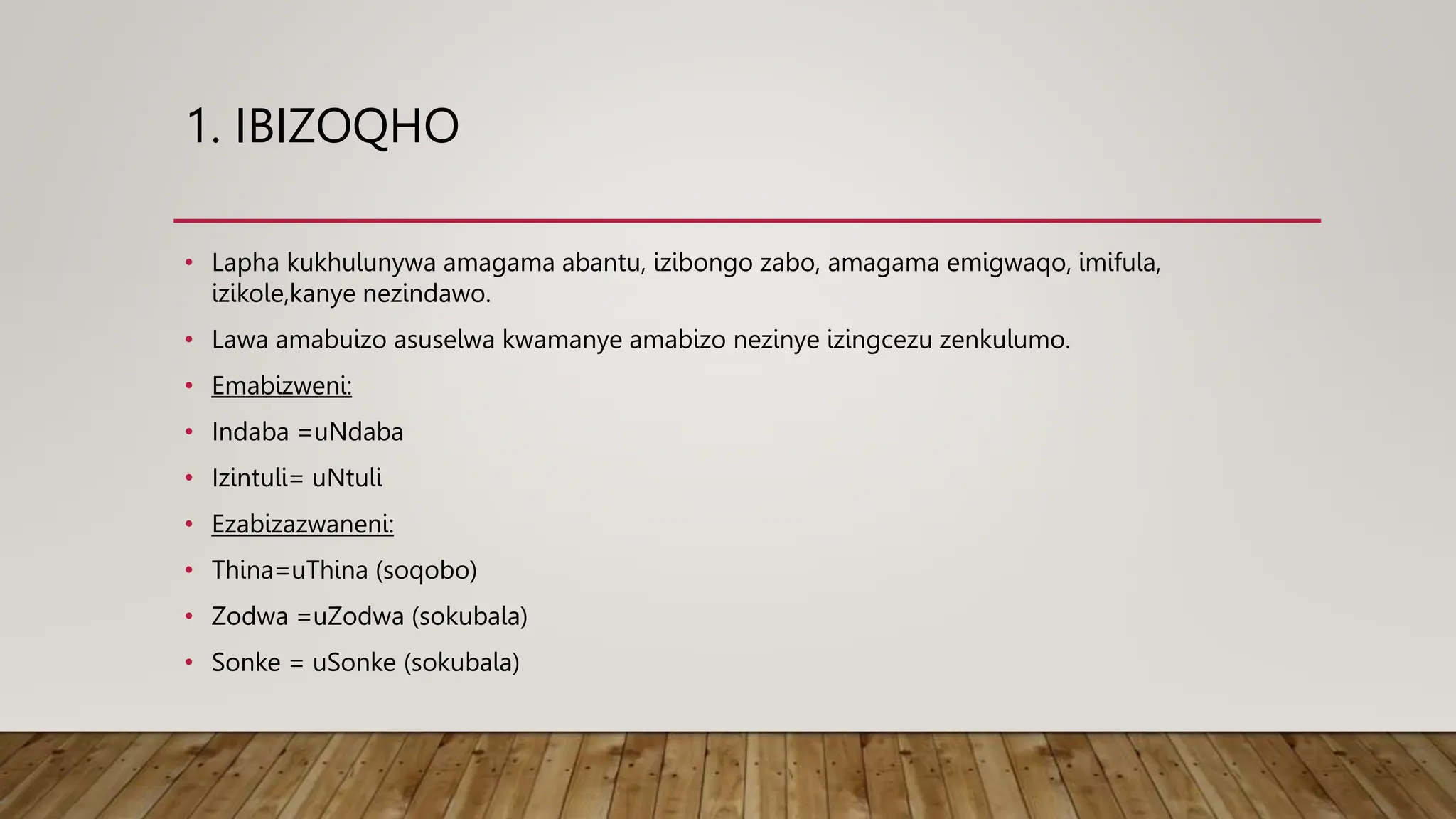 Isizulu izinhlobo zamabizo.pptx