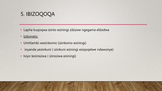 Isizulu izinhlobo zamabizo.pptx