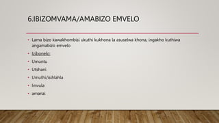 Isizulu izinhlobo zamabizo.pptx