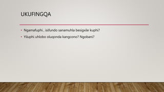 Isizulu izinhlobo zamabizo.pptx