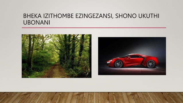 Isizulu izinhlobo zamabizo.pptx