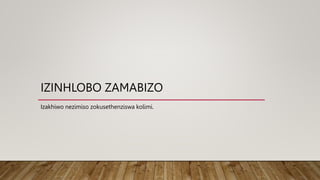 Isizulu izinhlobo zamabizo.pptx