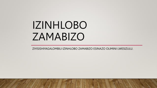 Isizulu izinhlobo zamabizo.pptx