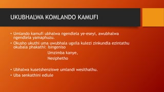 ISIZULU.pptx