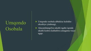 Imifanekisomqondo | PPTX