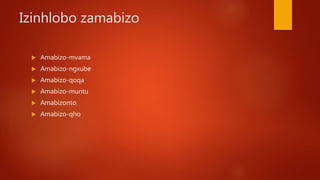 Isizulu ulimi lwasekhaya | PPTX