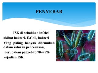 Infeksi Saluran Kemih - Ilmu Penyakit | PPTX
