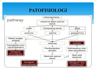 Infeksi Saluran Kemih - Ilmu Penyakit | PPTX