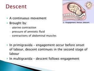 Normal labour presentation by UM | PPT