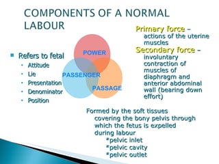 Normal labour presentation by UM | PPT