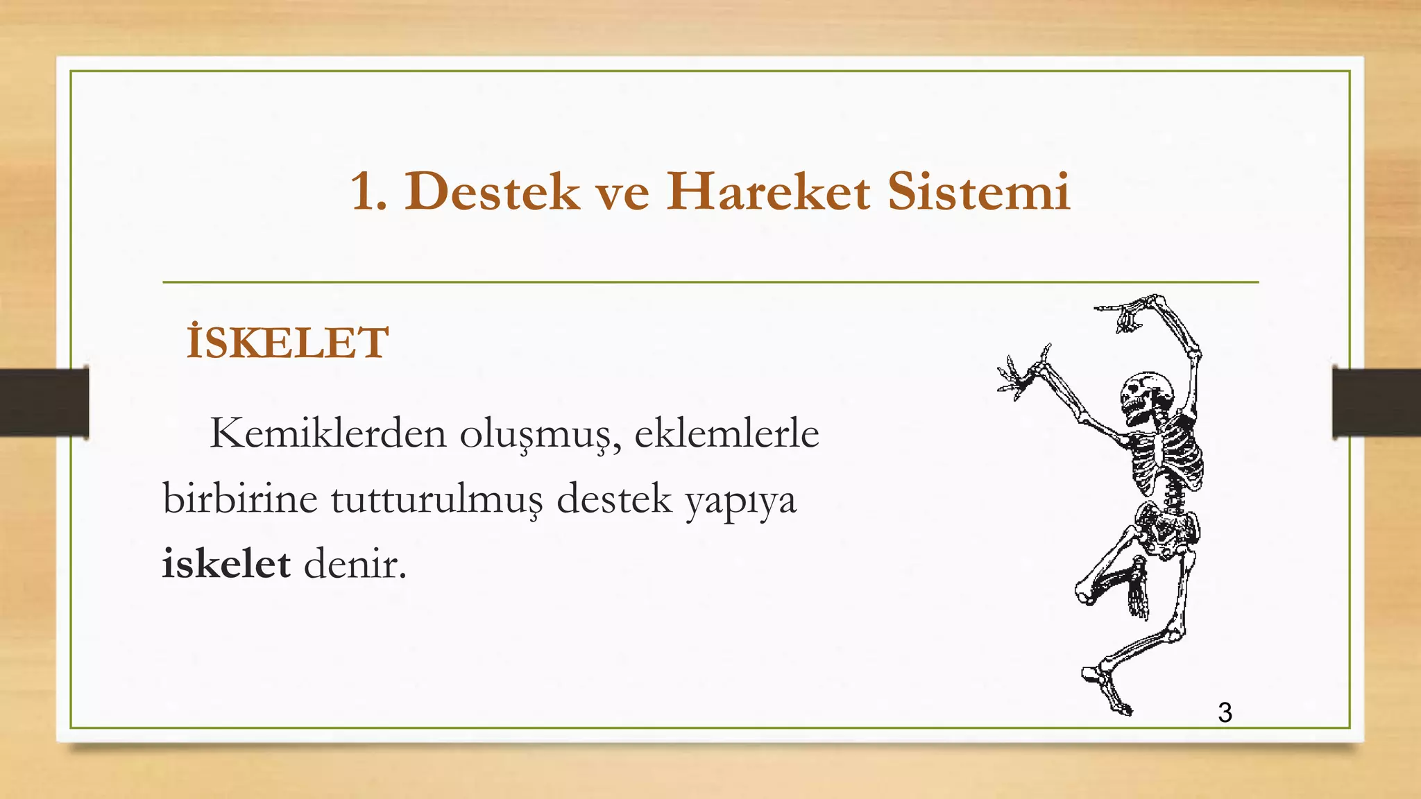 İskelet sistemi | PPTX