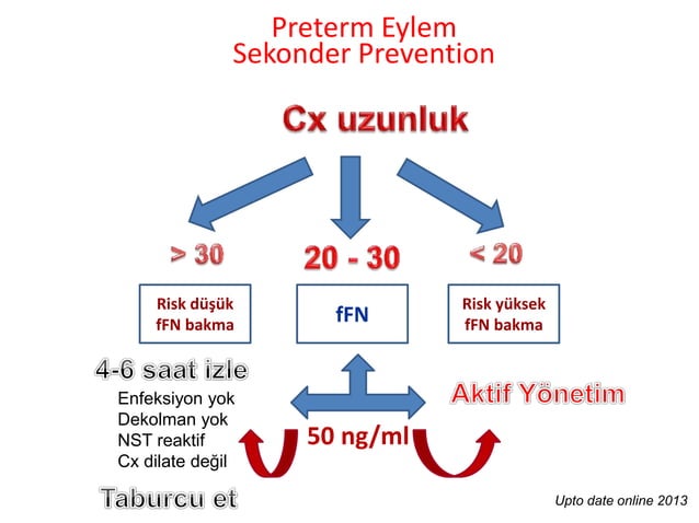 PRETERM EYLEM-DOĞUM | PDF