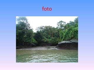 Isla Morro Chiquito Buenaventura Colombia | PPT