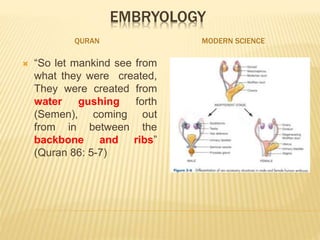 Islam and-science | PPTX | Islam | Religion & Spirituality