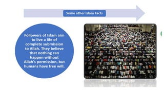 Islam Religion Of Peace And Tolerance