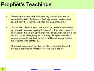 ISLAM: Solution to Climate Change/Global Warming‏ | PPS
