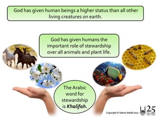 Islam and the environment | PDF