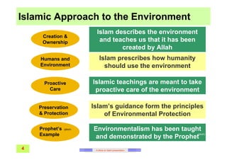 Islam and the Environment | PDF