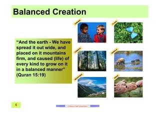 Islam and the Environment | PDF