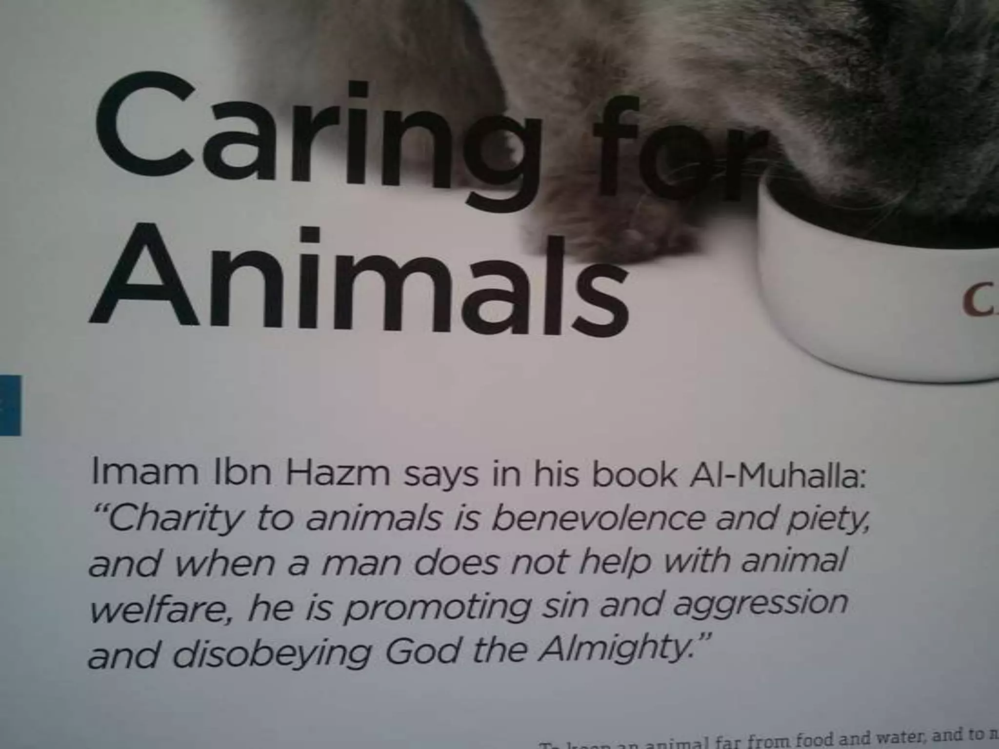 Islam awareness day posters | PPTX