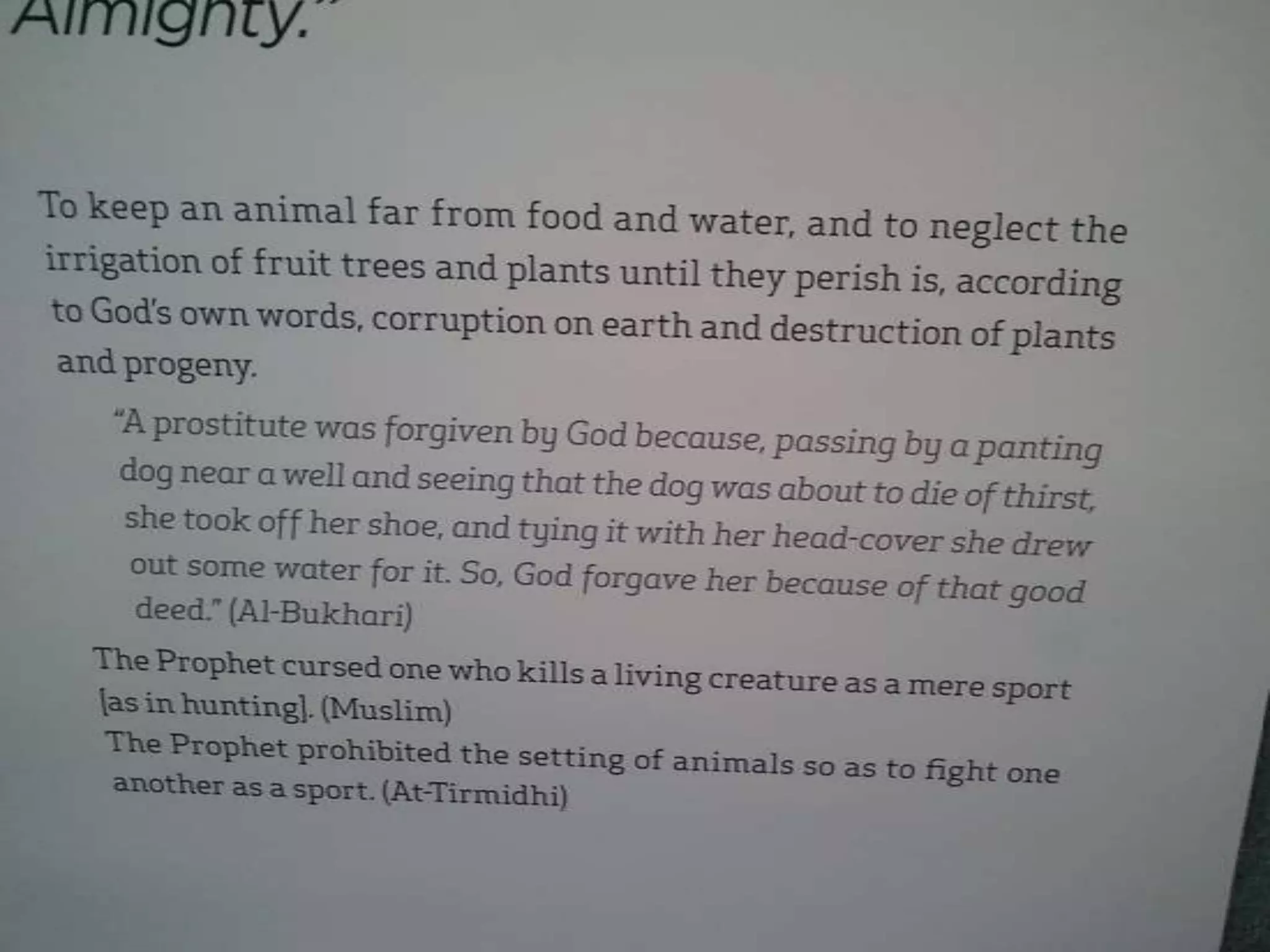 Islam awareness day posters | PPT