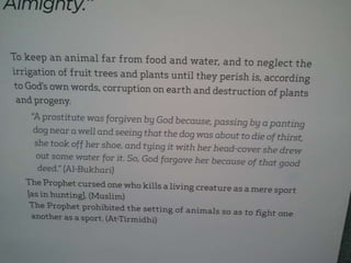 Islam awareness day posters | PPTX