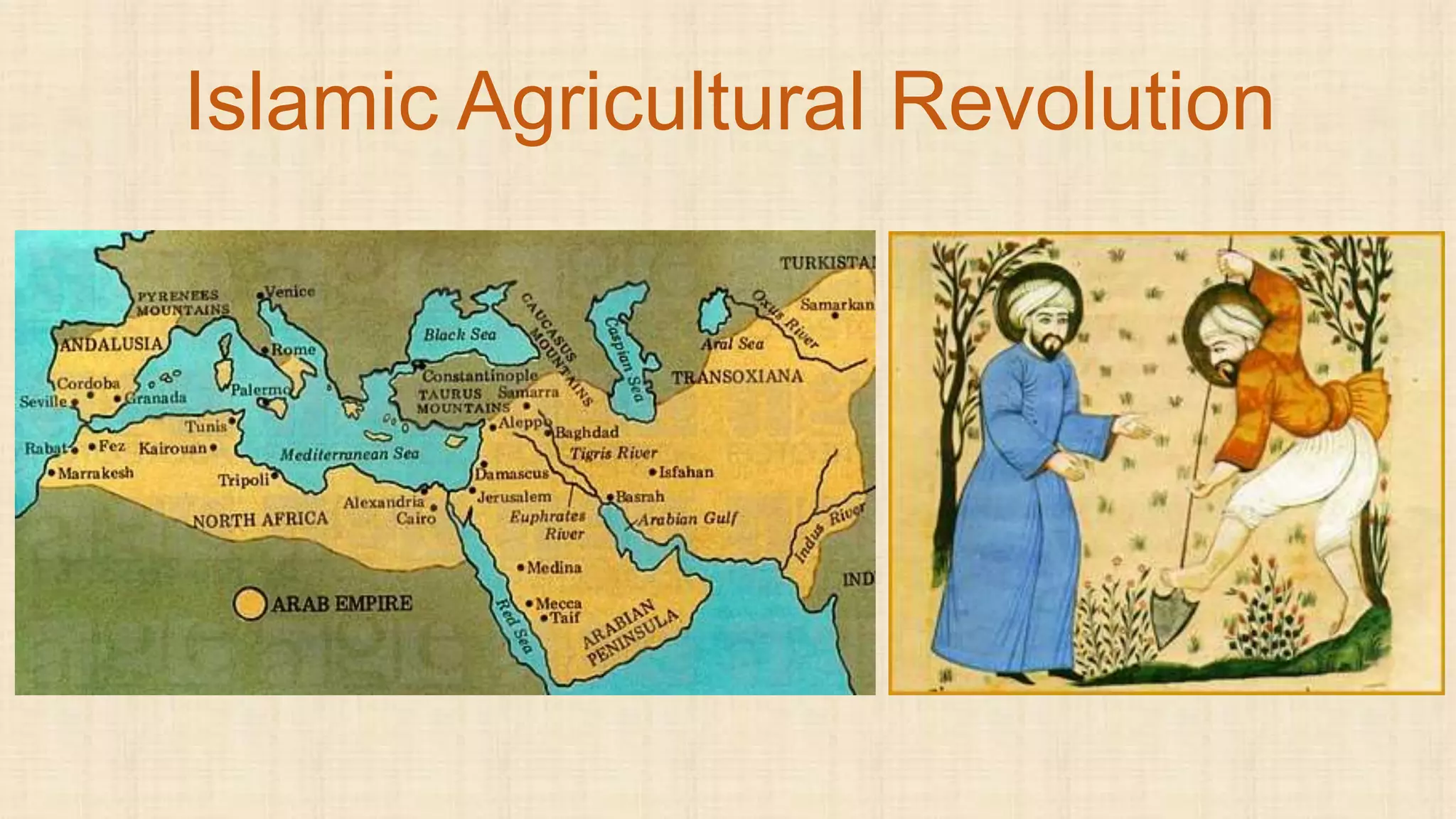 The Islamic civilization in Al-Andalus and Sicily | PPTX