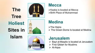 Overview of Islam | PPTX