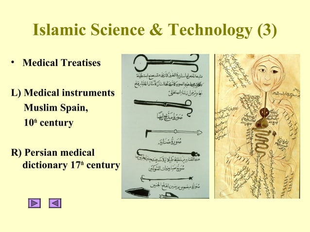 Islamic Art and Culture | PPT