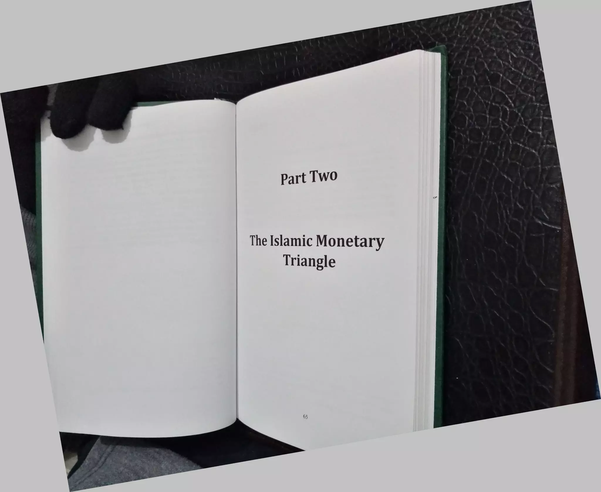 Islamic economics the ultimate alternative by mohamed ghanem [english ...