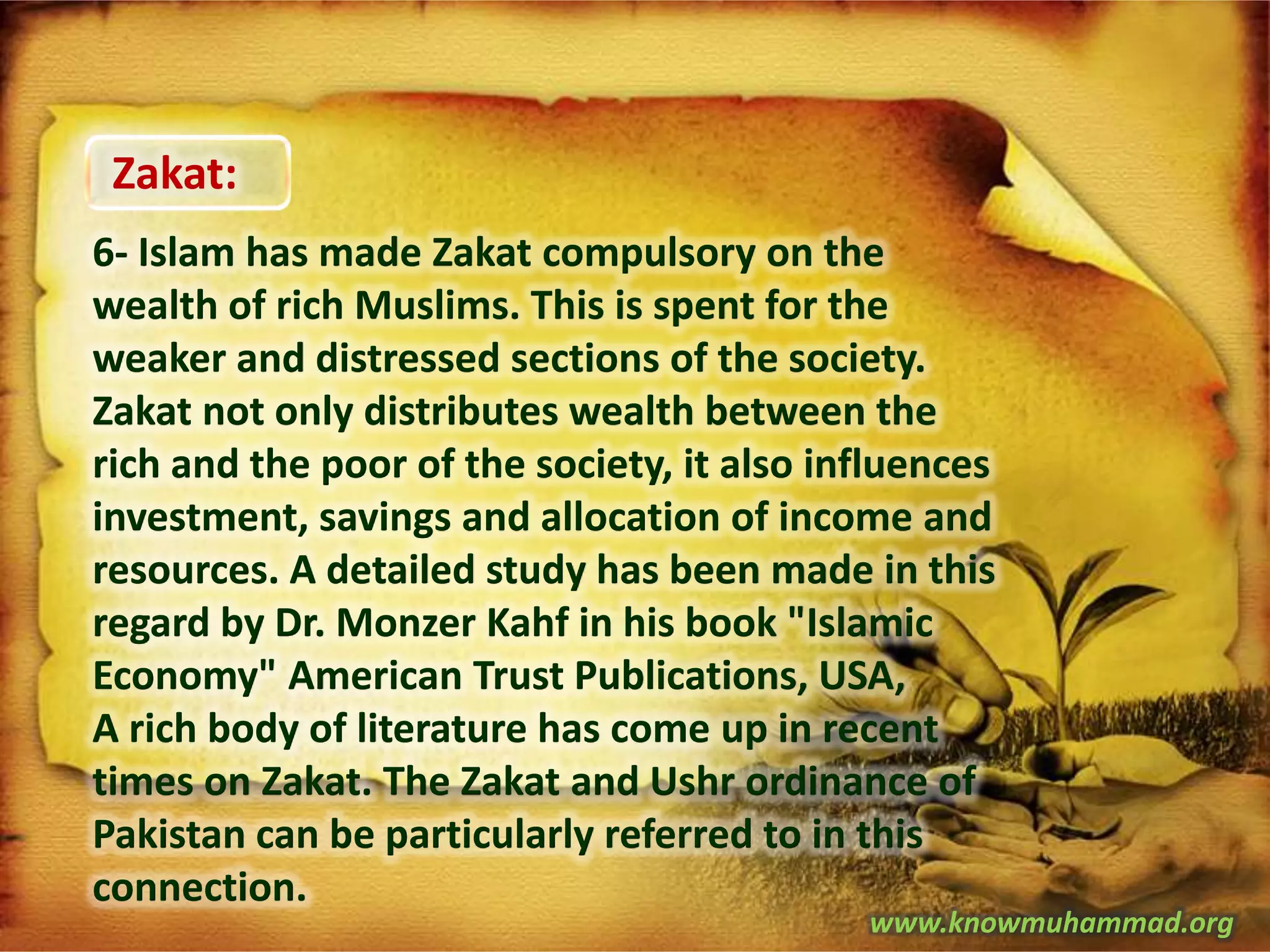 The Islamic Economy | PPSX