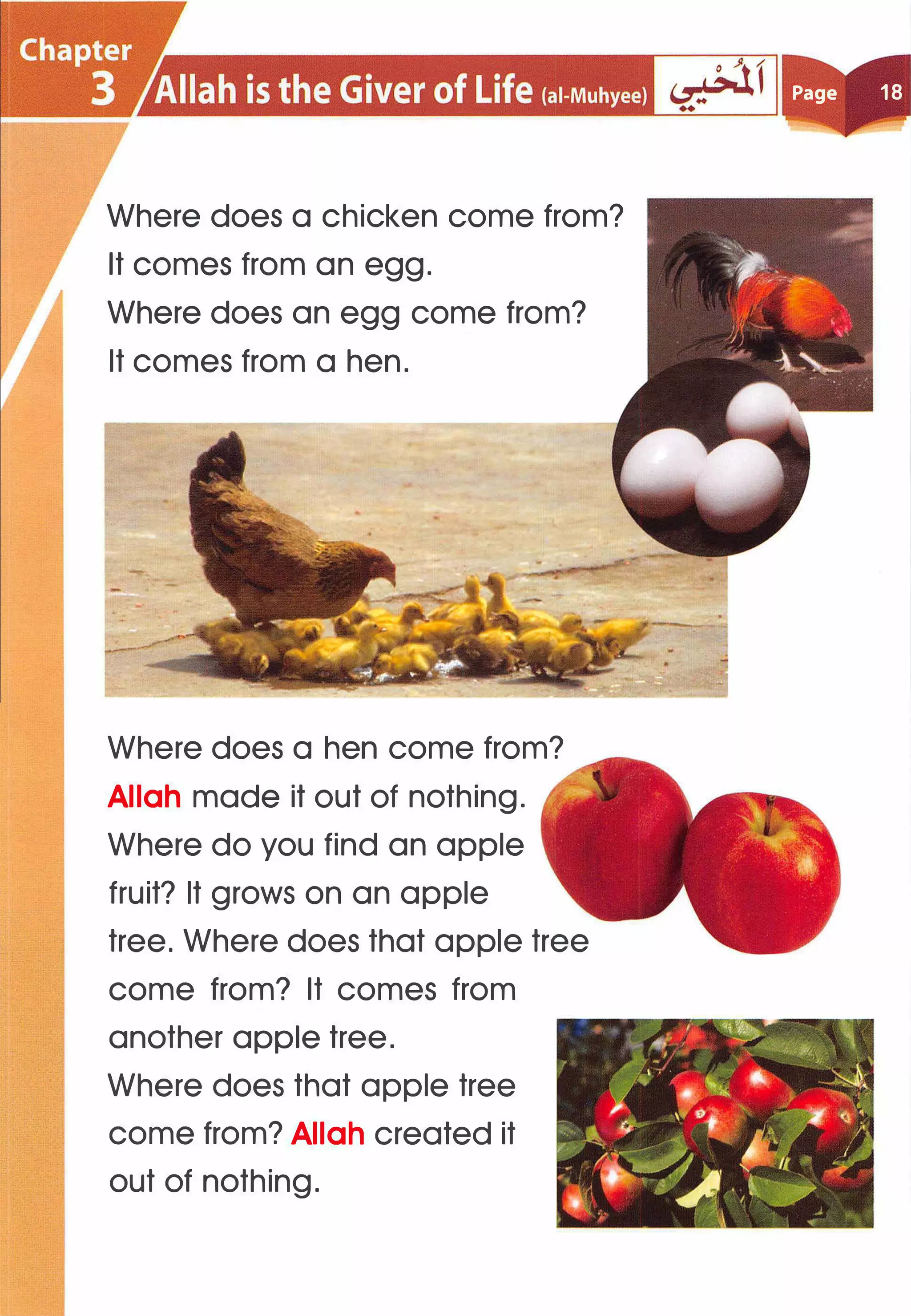 Islamic Education Series Grades 1-12 | PDF