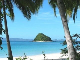 Island Man | PPT