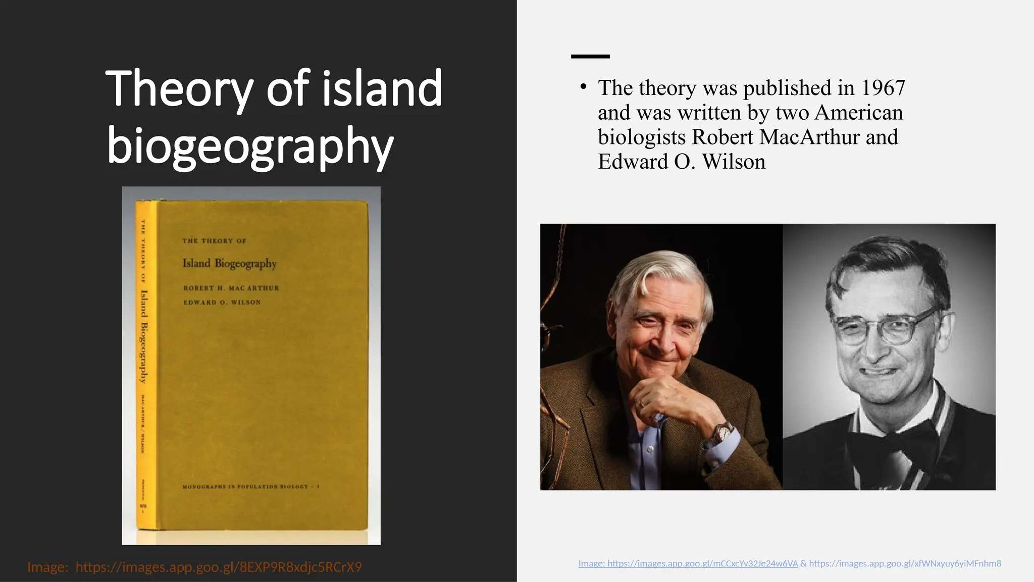 ISLAND BIOGEOGRAPHY (Theory of island biogeography).pptx