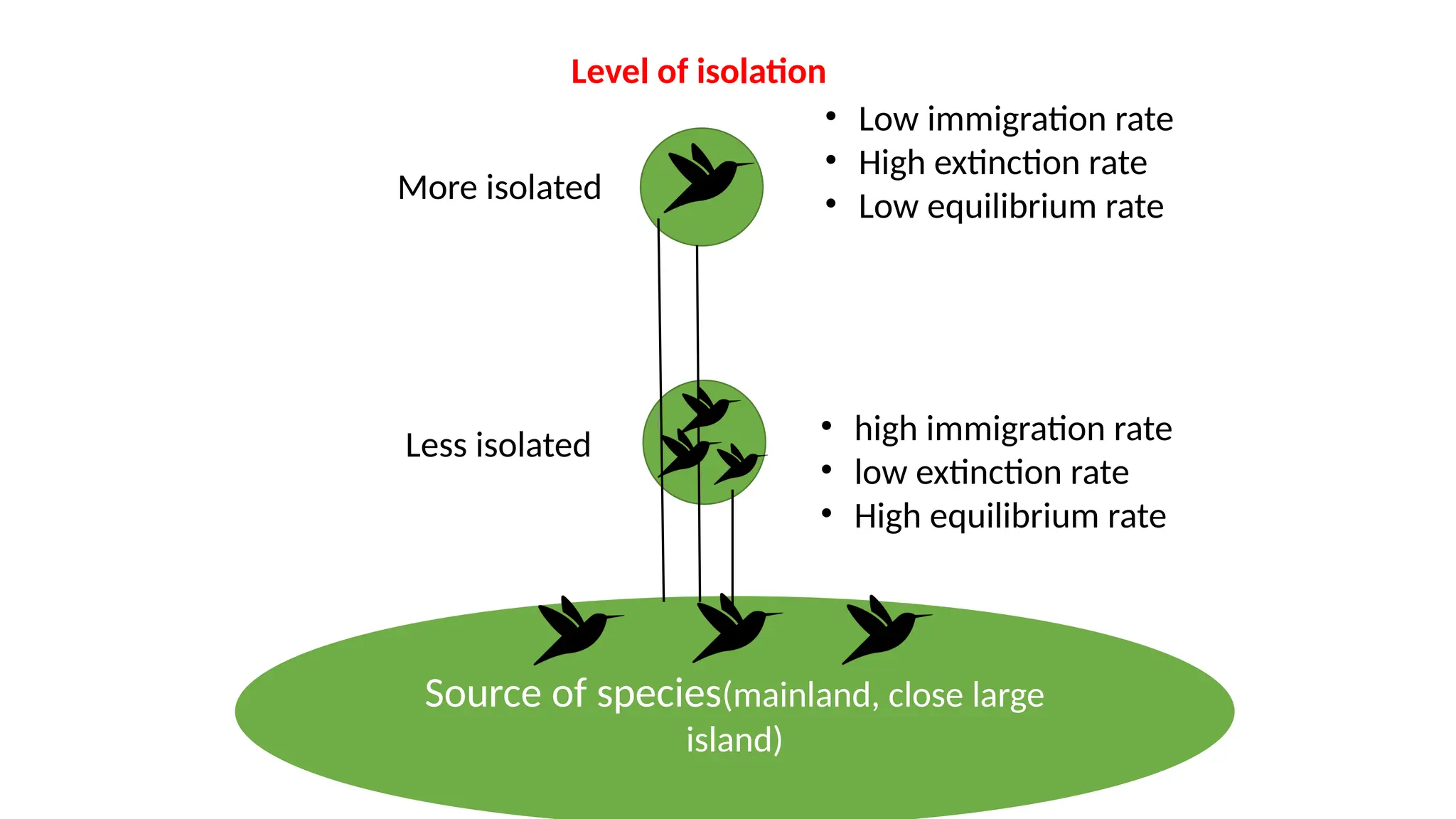 ISLAND BIOGEOGRAPHY (Theory of island biogeography).pptx