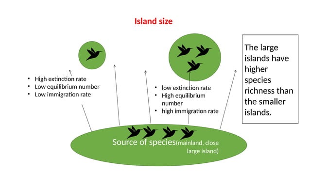 ISLAND BIOGEOGRAPHY (Theory of island biogeography).pptx