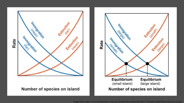 ISLAND BIOGEOGRAPHY (Theory of island biogeography).pptx