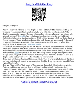 Island Of The Blue Dolphins Essay | PDF