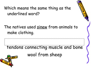 Island of the Blue Dolphin Vocabulary | PPT