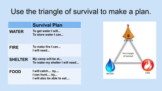 Island Survival Story | PPTX