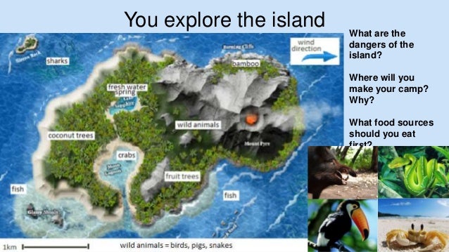 Island Survival Story