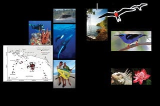 Islas Secas Reserve and Lodge, Chiriqui, Panama | PDF | South America Travel | Travel Locations